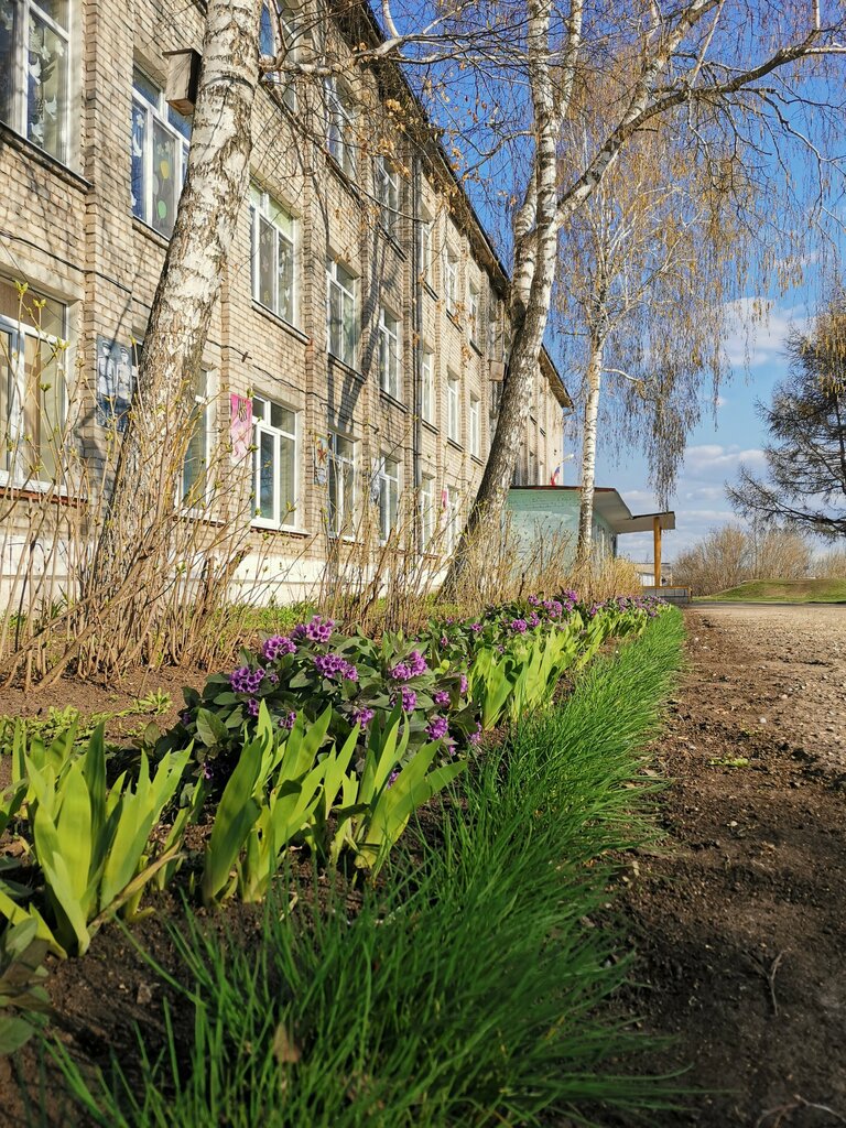 Ortaokul Novomaynskaya Srednyaya shkola № 1, Ulyanovskaya oblastı, foto