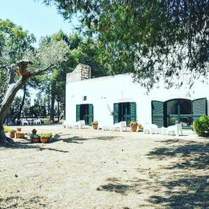 Masseria Fracchicchi (Apulia, Lecce, Via degli Olmi), otel  Puglia'dan