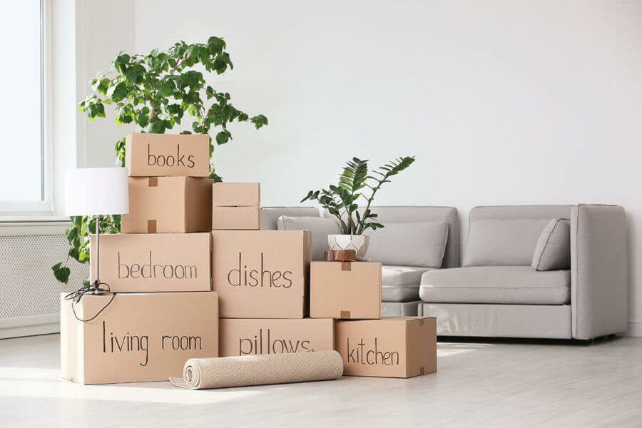 Evden eve nakliye Md Movers and Packers Sharjah, Sharjah, foto