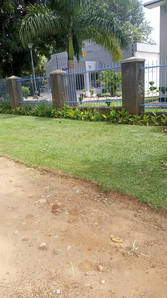 Belediyeler, devlet daireleri Zambian revenue authority, Lusaka, foto