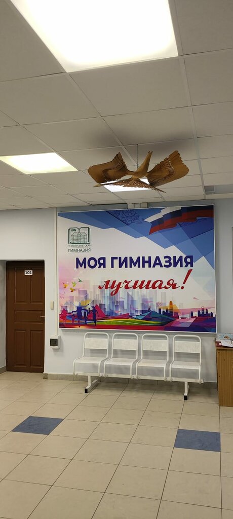 Fen lisesi, sosyal bilimler lisesi АНОО Университетская гимназия, Arhangelsk, foto