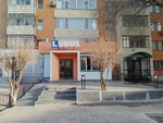 The Ludus (Abilkair khan Avenue No:68), kafe  Aktöbe'den