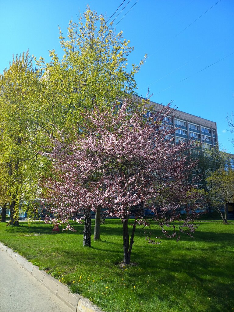 Yurtlar Mezhvuzovsky studenchesky gorodok, korpus № 4, Saint‑Petersburg, foto