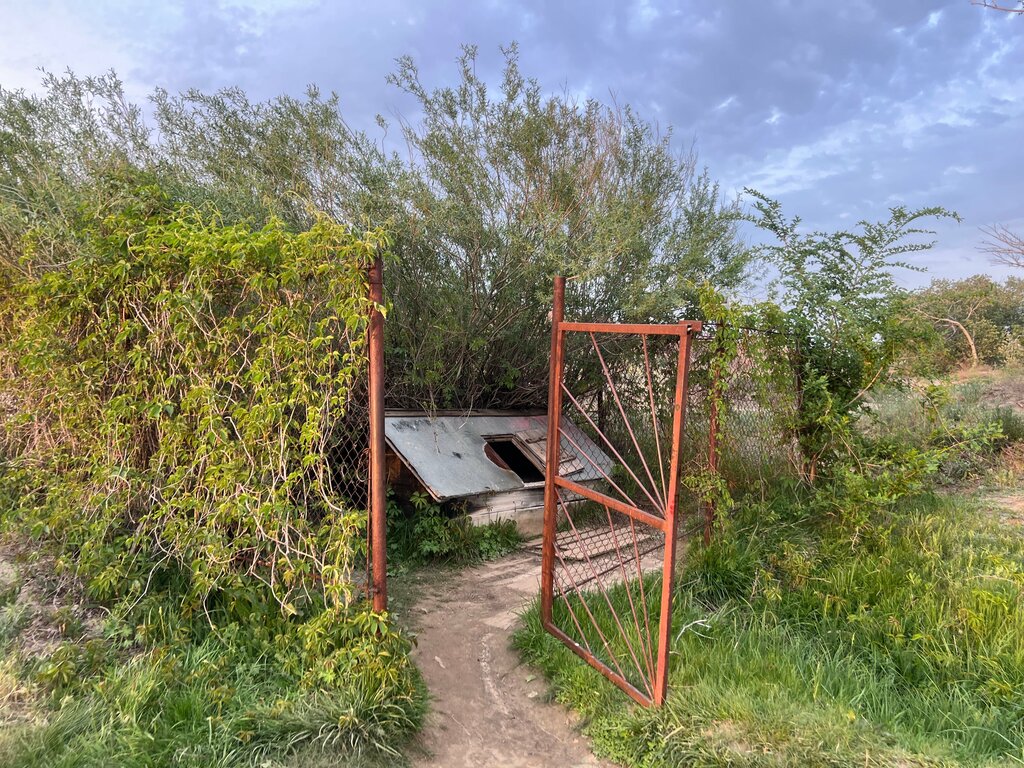 Pınar, çay Родник Христантьев, Kalmukya, foto