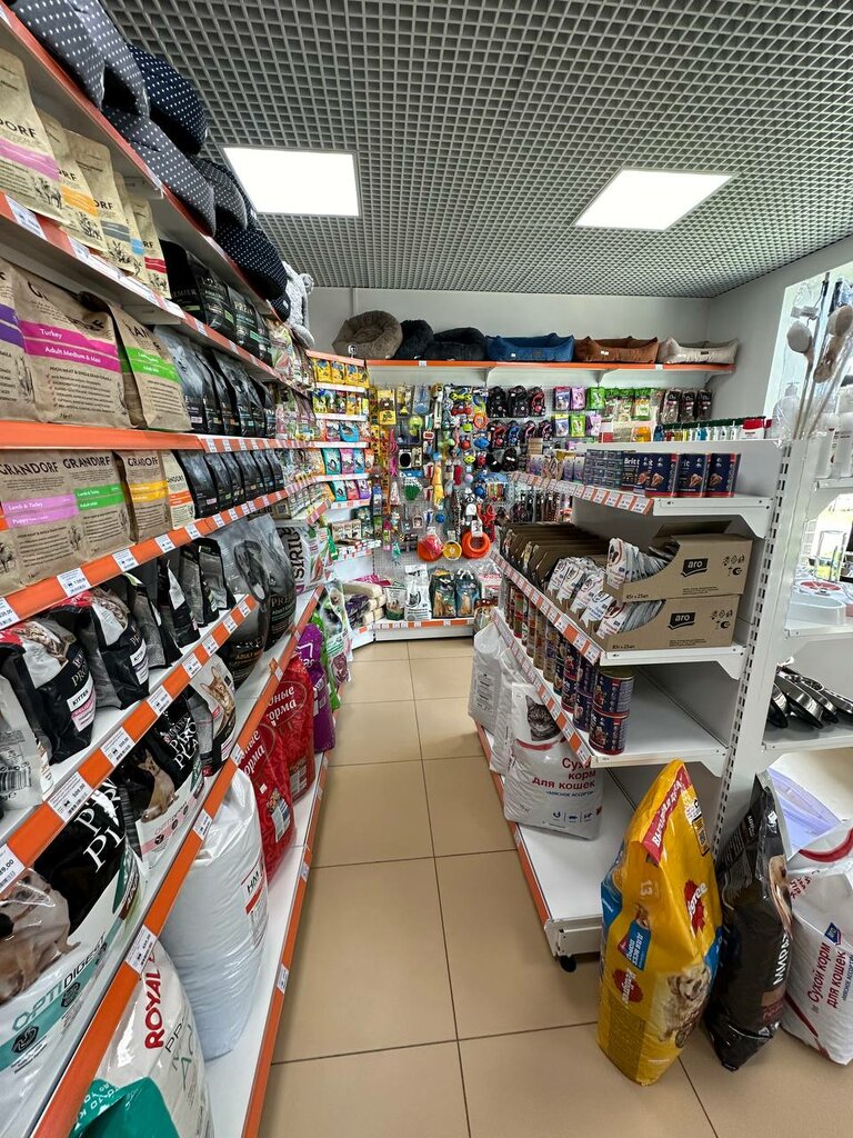 Petshop Bones and goodies, Klin, foto