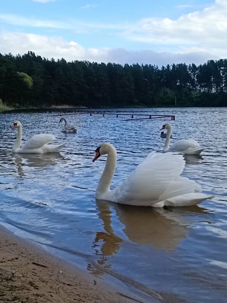 Otel Озеро Юбилейное, Grodno, foto