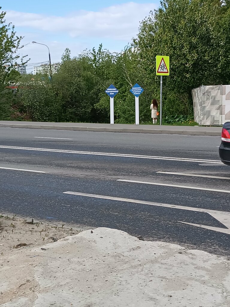 Pınar, çay Spring, Moskovski, foto
