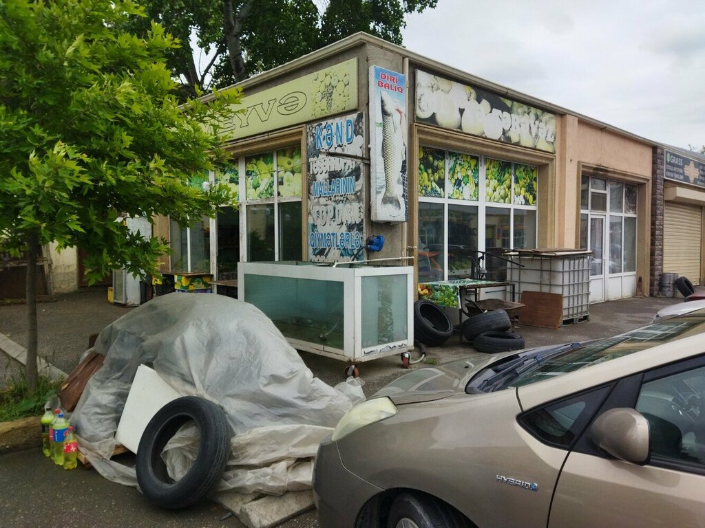 Balık ve deniz ürünleri Diri Baliq, Bakü, foto