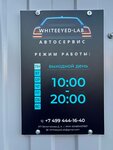 WhiteeyedLab (Sadovaya ulitsa No:6к2), otomobil servisi  Çehov'dan