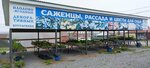 Саженцы (Krasnoyarsk Territory, Nazarovo, Pochtovaya Street), sera ve bahçe ürünleri  Nazarovo'dan