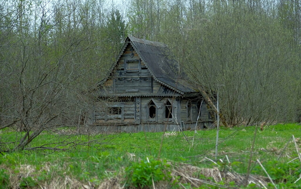 Ortodoks kiliseleri Церковь Покрова Пресвятой Богородицы, Vologodskaya oblastı, foto