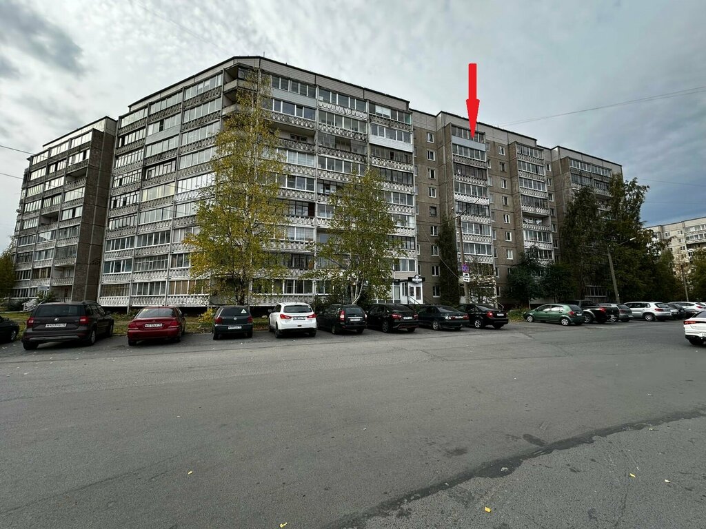 Otomobil yedek parçaları Autodoc.ru, Petrozavodsk, foto
