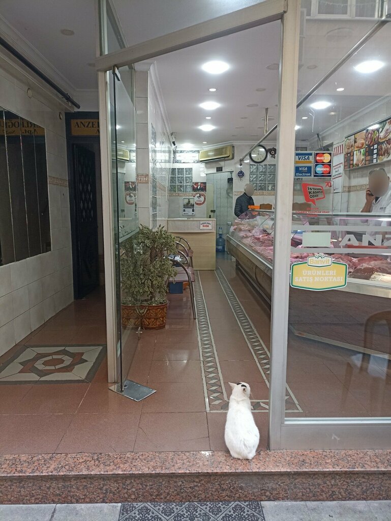 Kasap, şarküteri Anzerlioğlu Et Ürünleri, İstanbul, foto