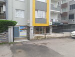 Bal Solar Enerji Güneş Enerjisi Sistemleri (Bursa, Osmangazi, Dikkaldırım Mah., Herkül Sok., 7A), enerji kurumları  Bursa'dan
