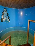ClubSauna (No:7, sadovoye tovarishchestvo Zelyony Bor-1), hamamlar  Moskova ve Moskovskaya oblastından