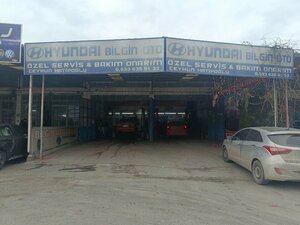 Ankara Hyundai Servisi Bilgin Oto (Ankara, Yenimahalle, İnönü Mah., 1765. Sok., 29), otomobil servisi  Ankara'dan