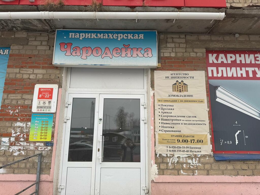 Emlak ofisi Домовладение, Bor, foto