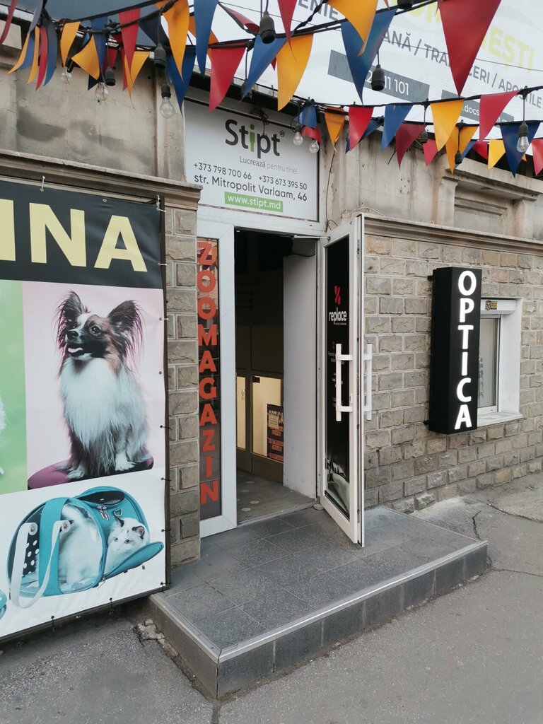 Petshop Zoo Savanna, Kişinev, foto