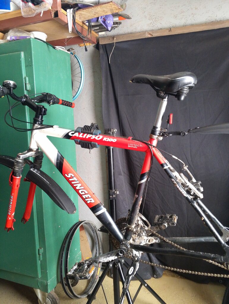 Bisiklet mağazaları ВелоТехник, Engels, foto