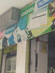 Adhesivos (Santa Cruz de la Sierra, Distrito Municipal 11, Ingavi, 731), matbaalar  Bolivya'dan