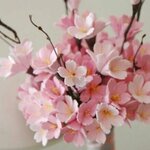 Sakura (prospekt Mikhaila Ivanovicha Kalinina No:49), çiçekçiler  Dagestanskie Ogni'den