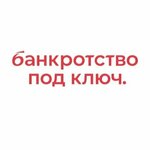 Банкротство под ключ (Zvenigorodskaya Street No:22), gerçek kişilerin iflası  Saint‑Petersburg'dan