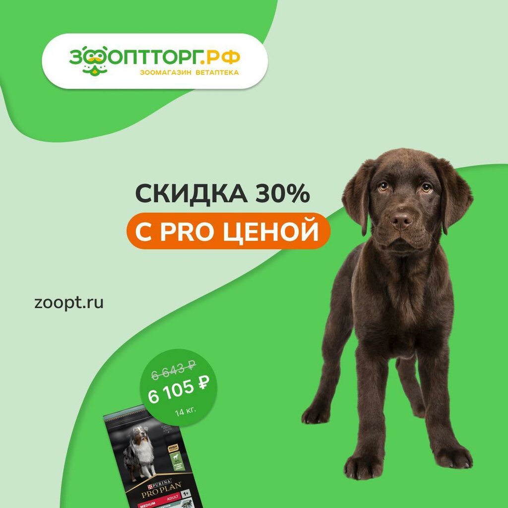 Petshop Zooopttorg. Rf, Saint‑Petersburg, foto