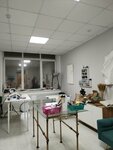 Творческая студия Тани Дубенцевой (Podyomnaya Street No:12с1), sanat atölyeleri  Moskova'dan