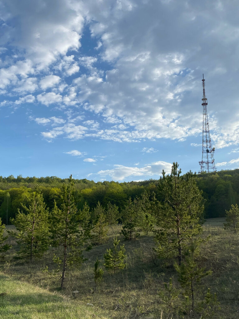 Dağ zirvesi Зимина гора, Ulyanovskaya oblastı, foto