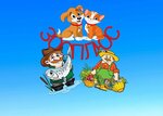 Зоомагазин (ulitsa Dzerzhinskogo No:35, posyolok gorodskogo tipa Umba), petshop  Murmanskaya oblastından