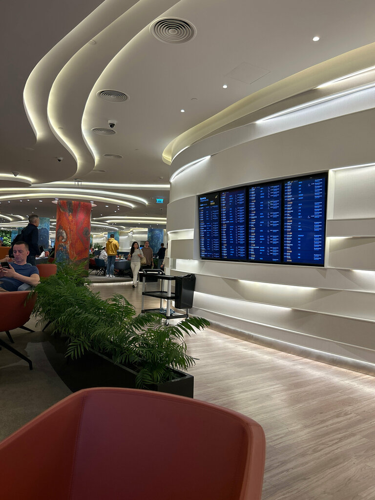 Havaalanı vip salonu Шагал, Moskova ve Moskovskaya oblastı, foto