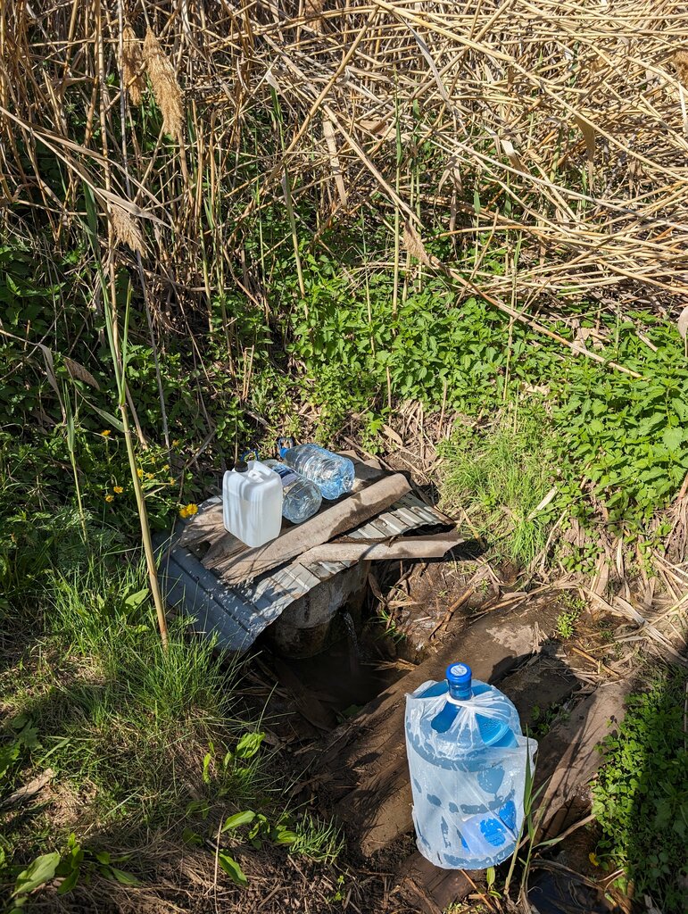 Pınar, çay Spring, stream, Saratovskaya oblastı, foto