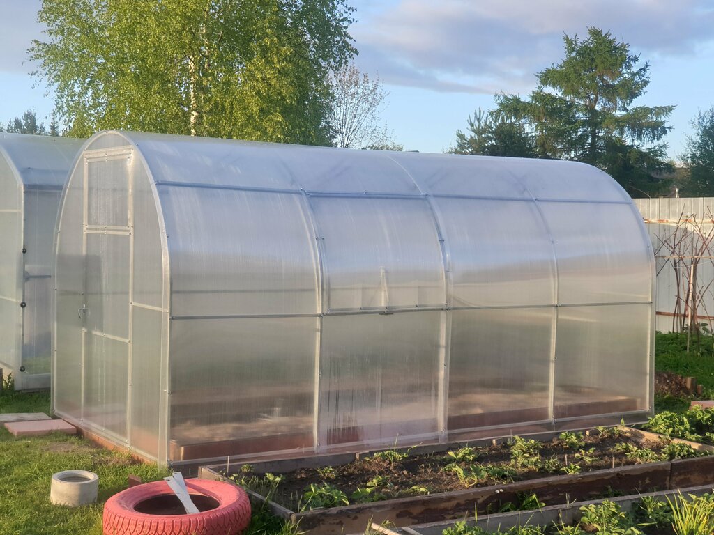 Sera ekipmanları Teplitsy Dmitrov, Dmitrov, foto