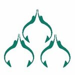 Freediving Federation of the Ryazan Region (Esenina Street No:15), doğa sporları  Riazan'dan