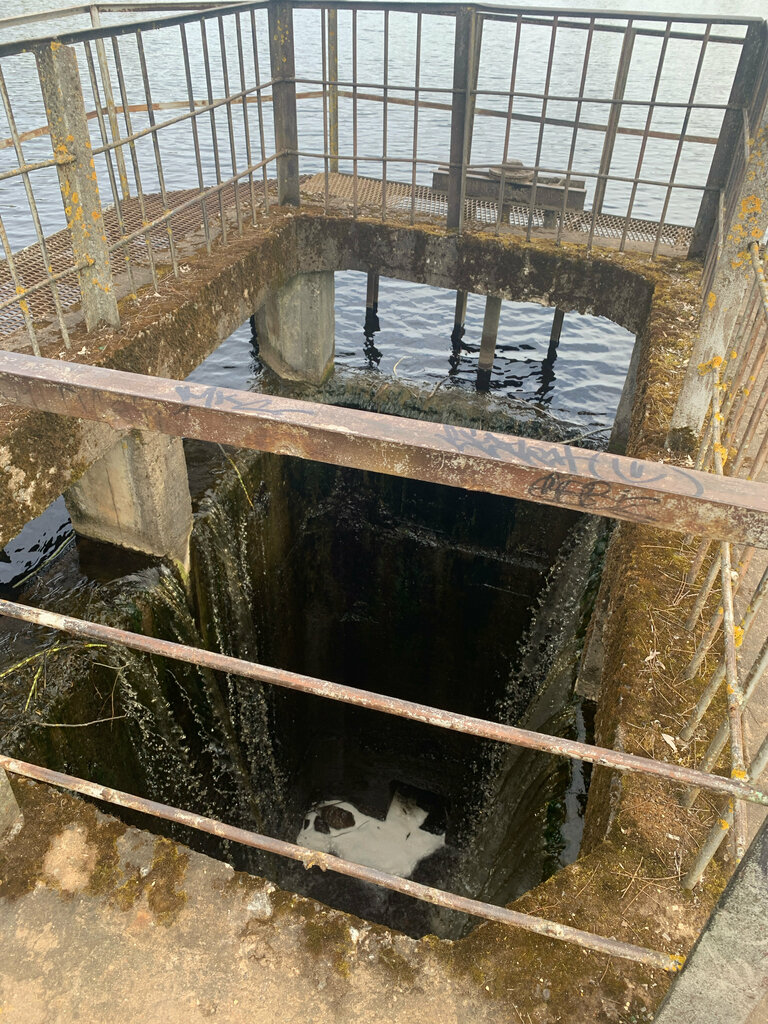 Seyir terası Смотровая площадка, Saint‑Petersburg ve Leningradskaya oblastı, foto