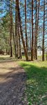 Избушка на Опушке (No:9, vioska Dubki), otel  Vitebskaya oblastından