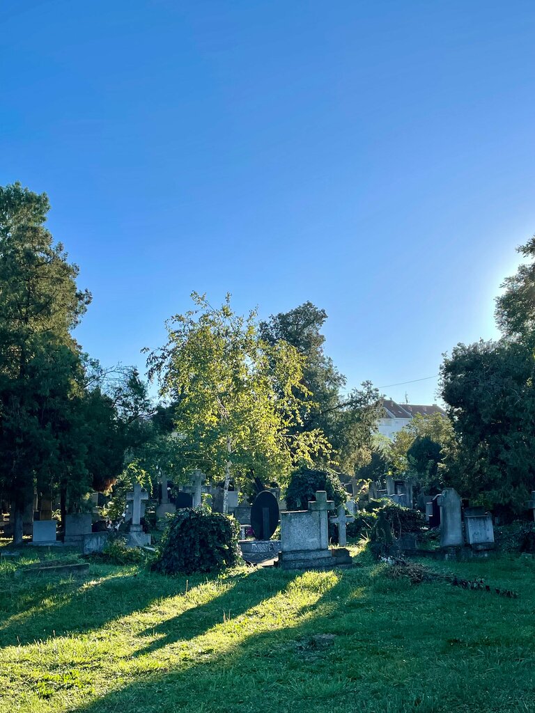 Mezarlıklar Uspensko groblje, Novi Sad, foto
