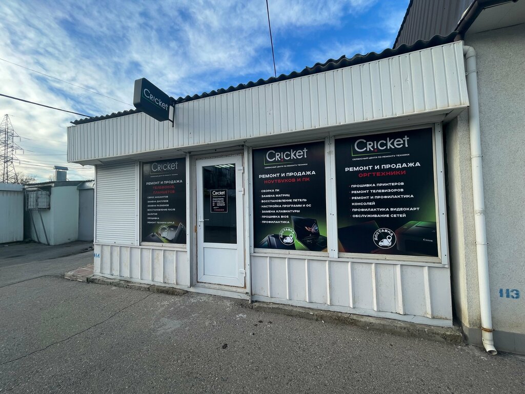 Bilgisayar teknik servisleri Crᴉcket, Sevastopol, foto