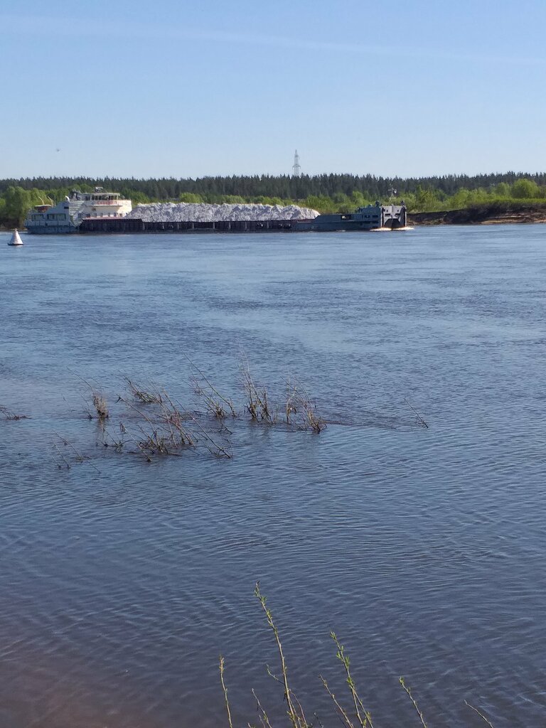 Plaj Пляж, Riazanskaya oblastı, foto