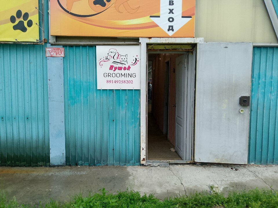Evcil hayvan kuaförleri Пушок, Angarsk, foto