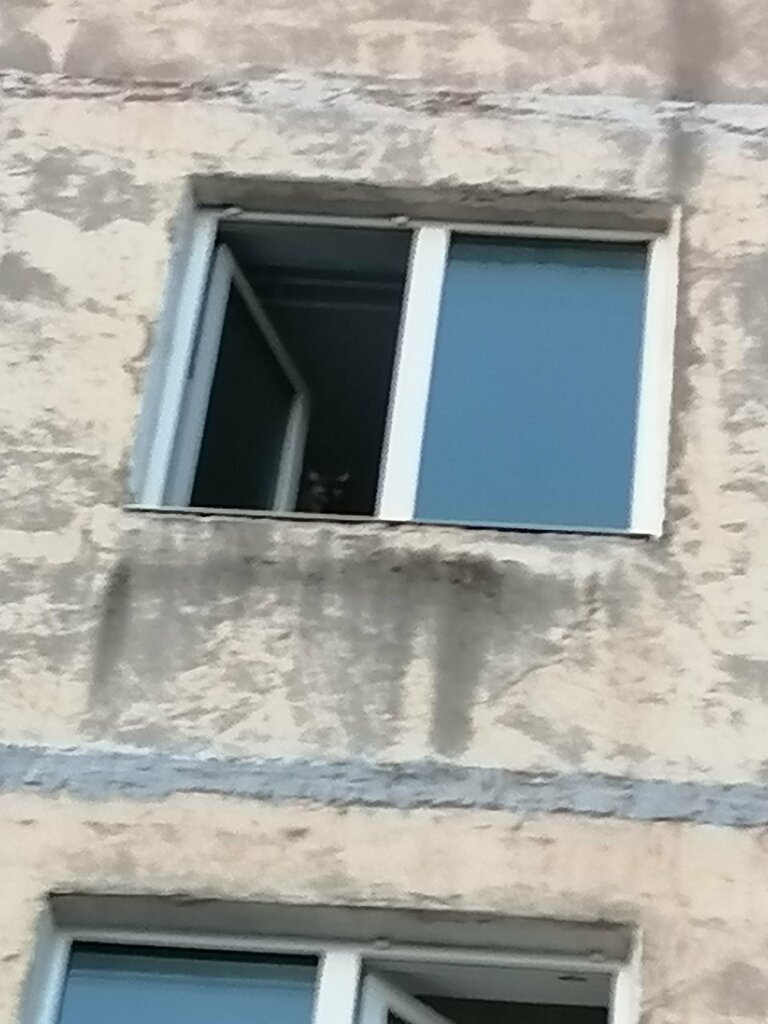 Anaokulları Detsky sad № 1, Podorogie, foto