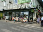 Тандыр Мангал Хаус (Stasova Street No:165), fast food  Krasnodar'dan