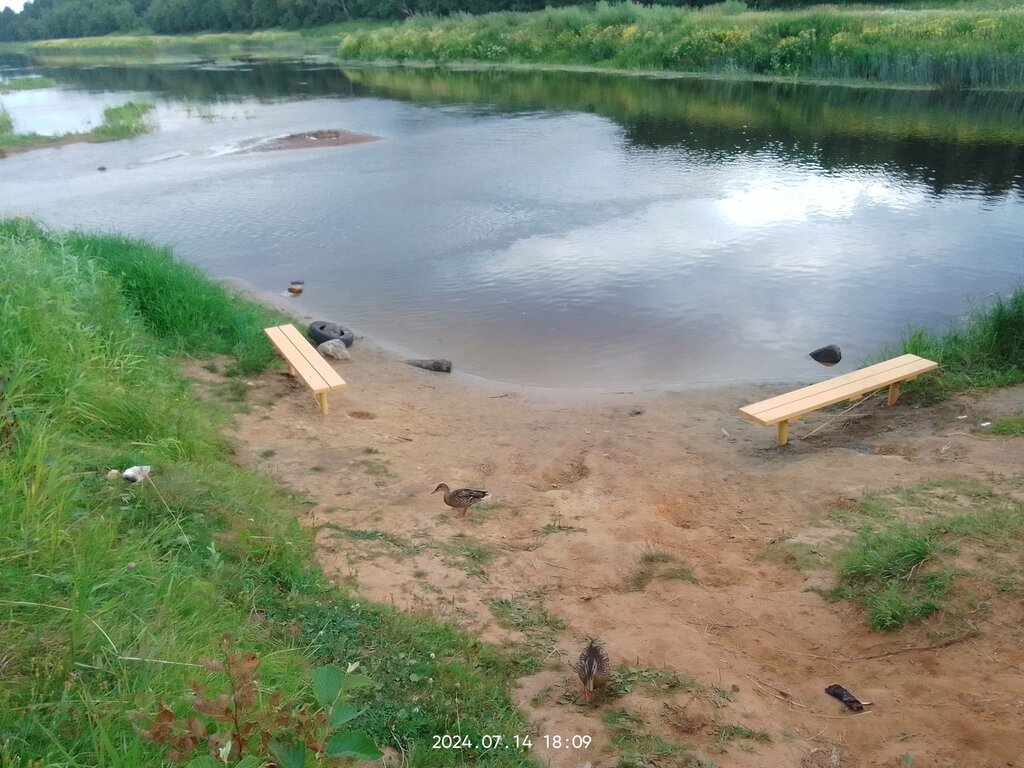 Piknik alanı Место для пикника, Pestovo, foto