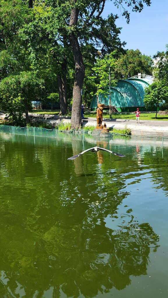 Bank Bench, Saratov, foto