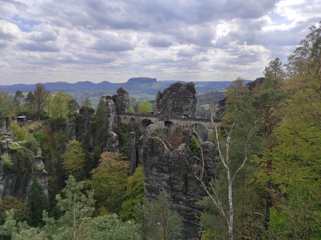 Orman Nationalpark Sächsische Schweiz, Saksonya, foto