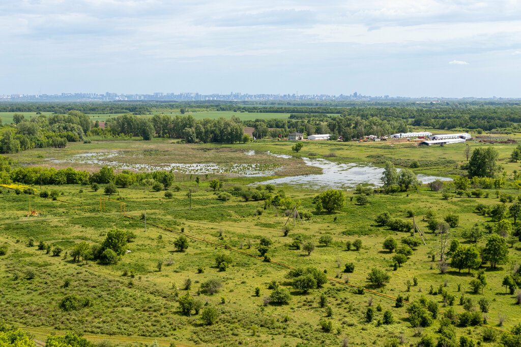 Dağ zirvesi Озёрная гора, Samarskaya oblastı, foto