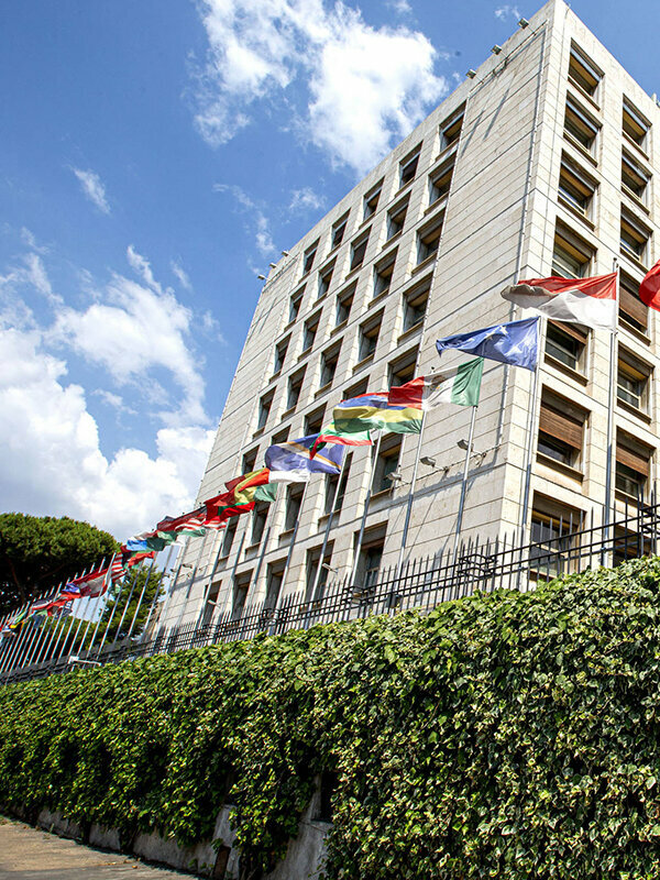 Uluslararası kurumlar Fao Ci, Abican, foto