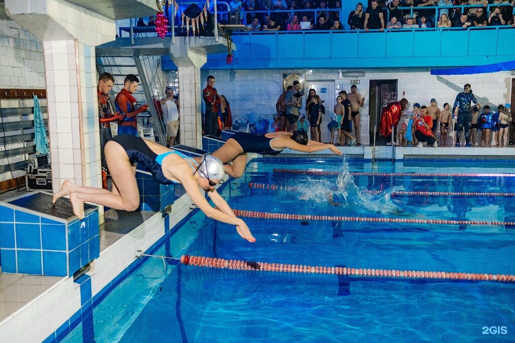 Yüzme havuzları Kudryashov Pro Lab, Novosibirsk, foto