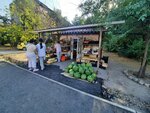 Сумая (Akhmatbek Suyumbayev Street No:148), market  Bişkek'ten