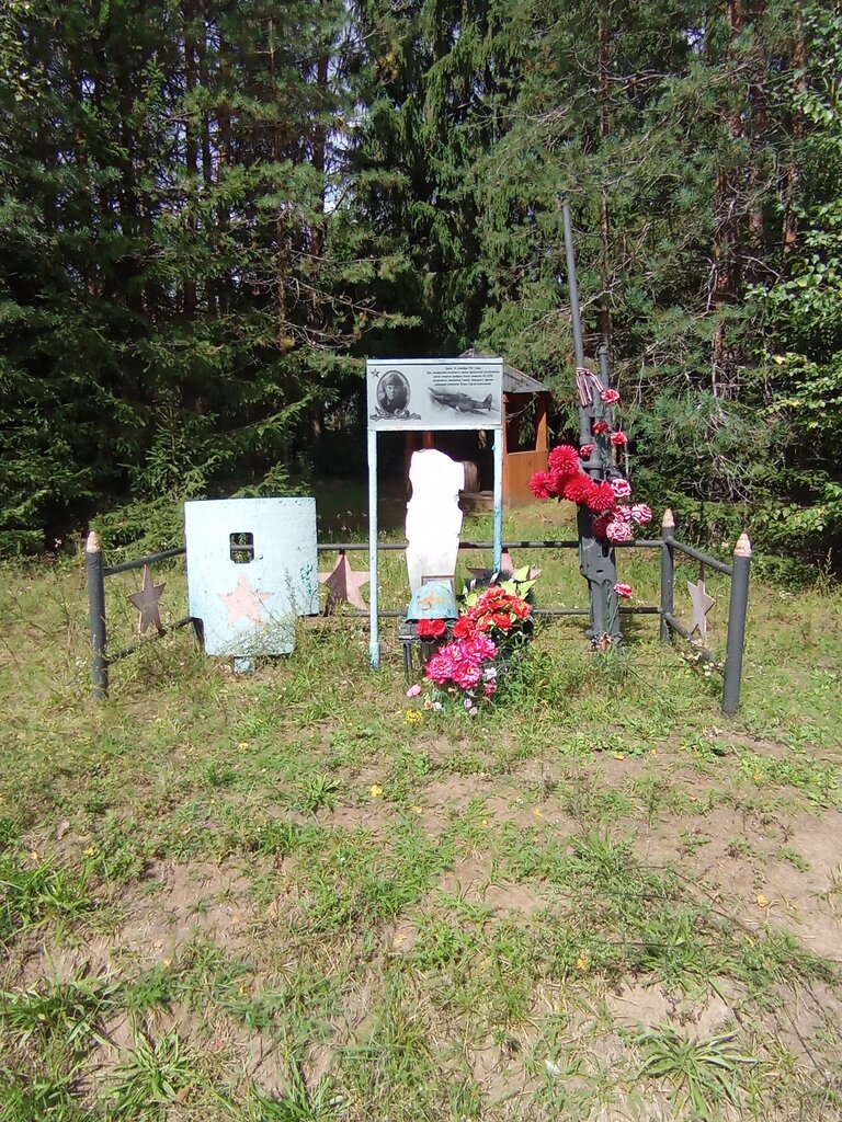 Anıt, heykel Летчик 288 штурмового авиаполка младший лейтенант Сергей Алексеевич Лунин, Novgorodskaya oblastı, foto